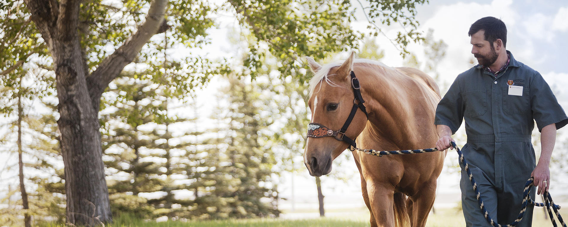 DVM Students | Faculty of Veterinary Medicine | University of Calgary