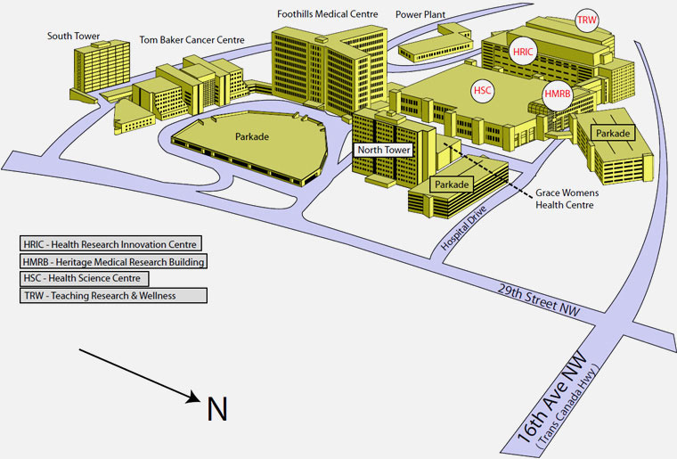 Contact Us | Faculty of Veterinary Medicine | University of Calgary